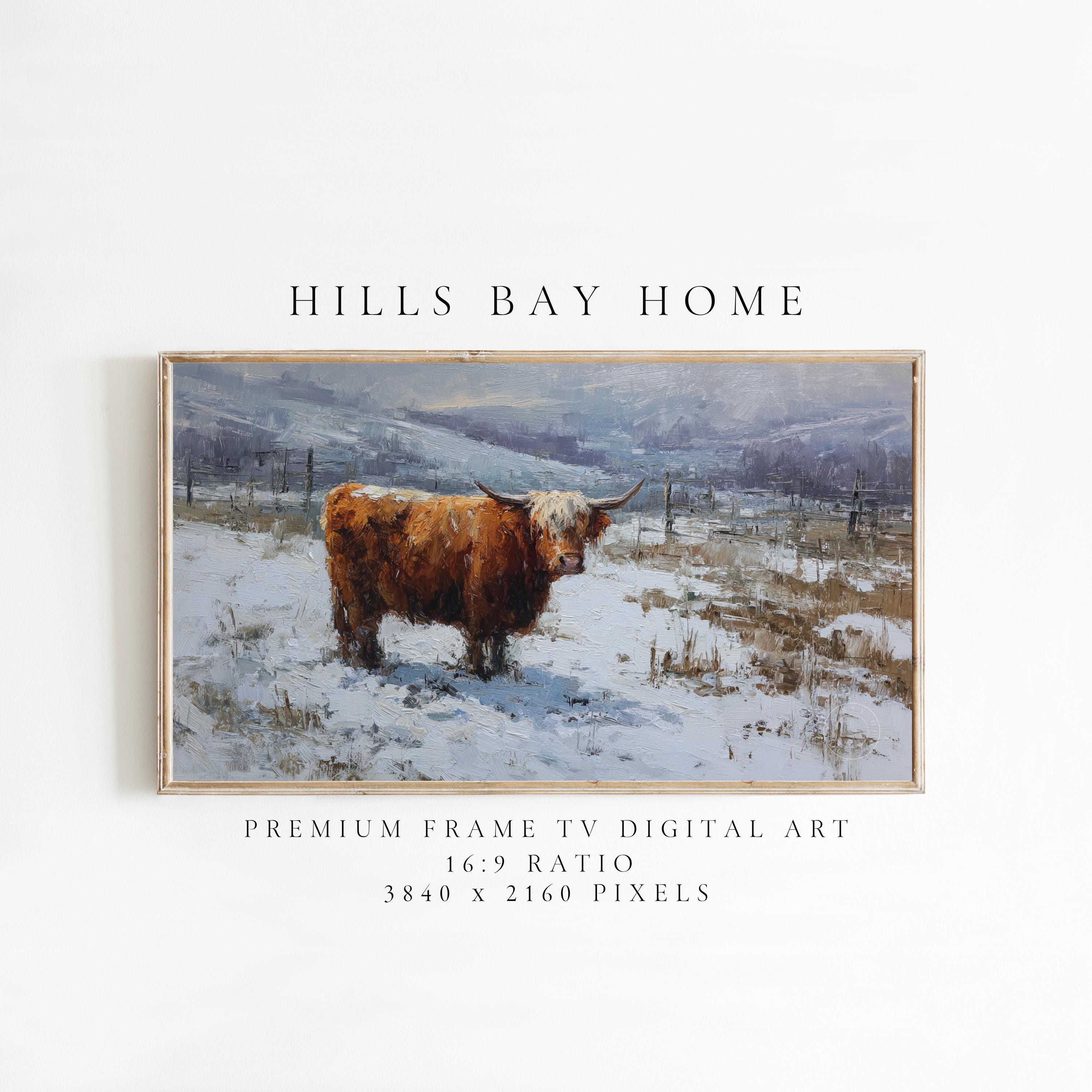 Snowy Highland Cow Frame Tv Art – HILLS BAY HOME